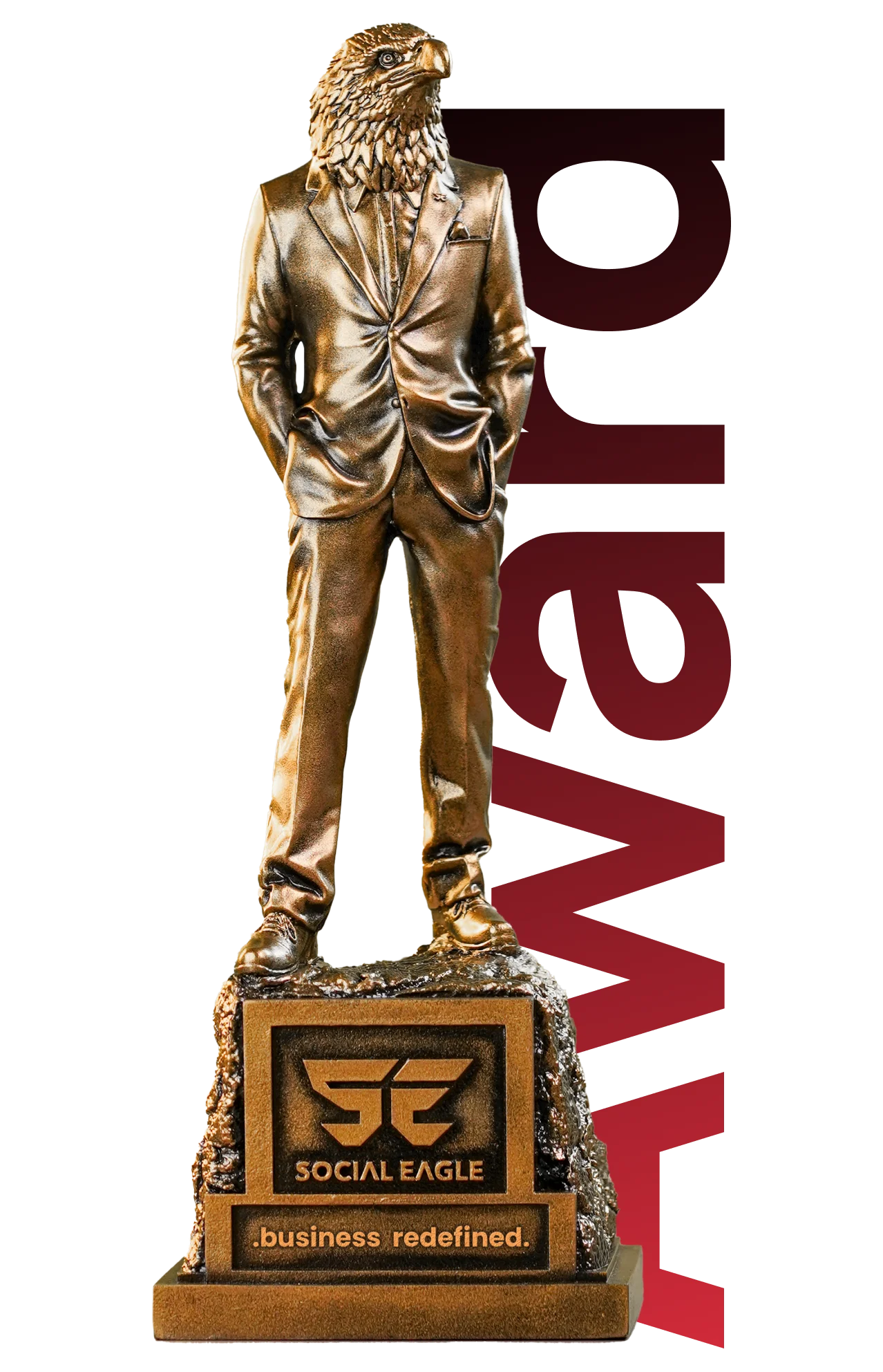 Social Eagle Academy